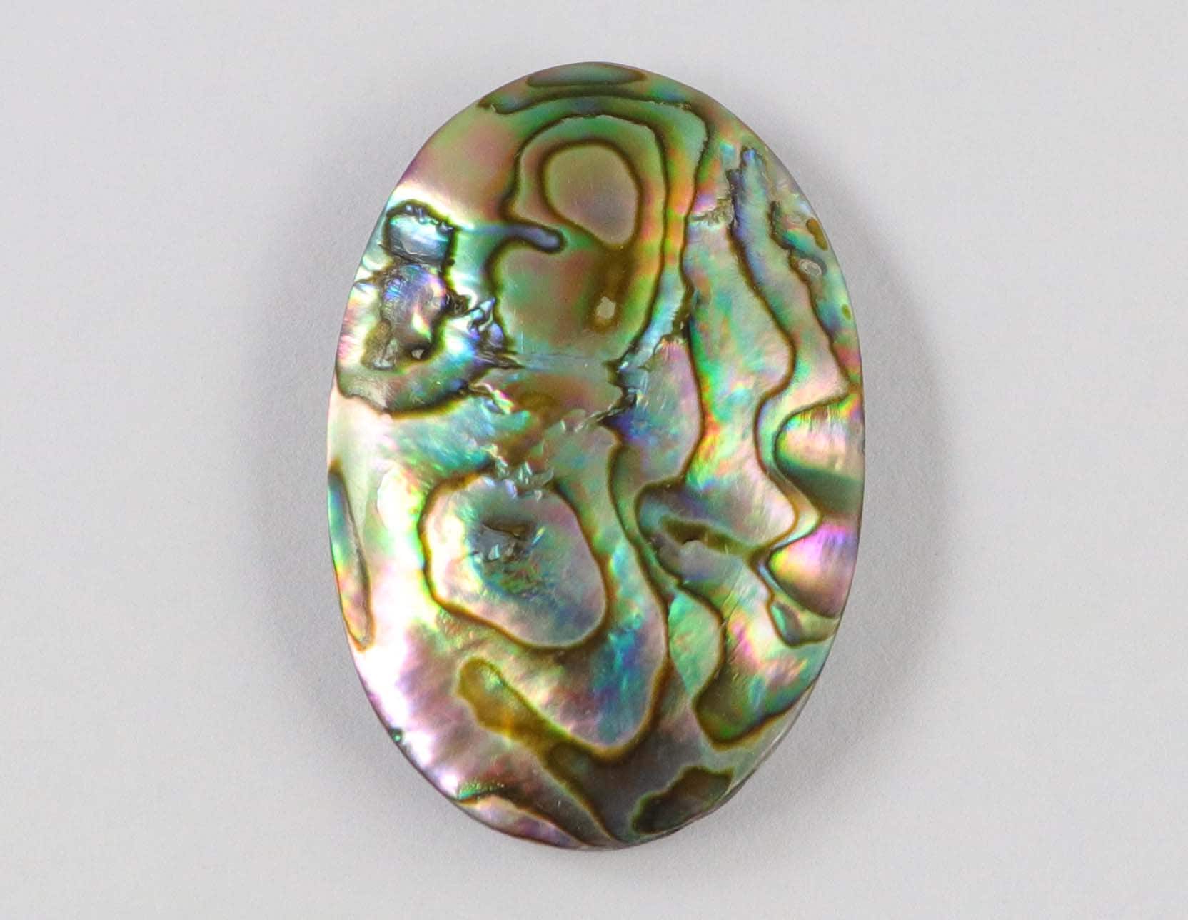 Abalone Shell Natural Gemstone Oval Shape Flat Bottom Jewelry - Etsy