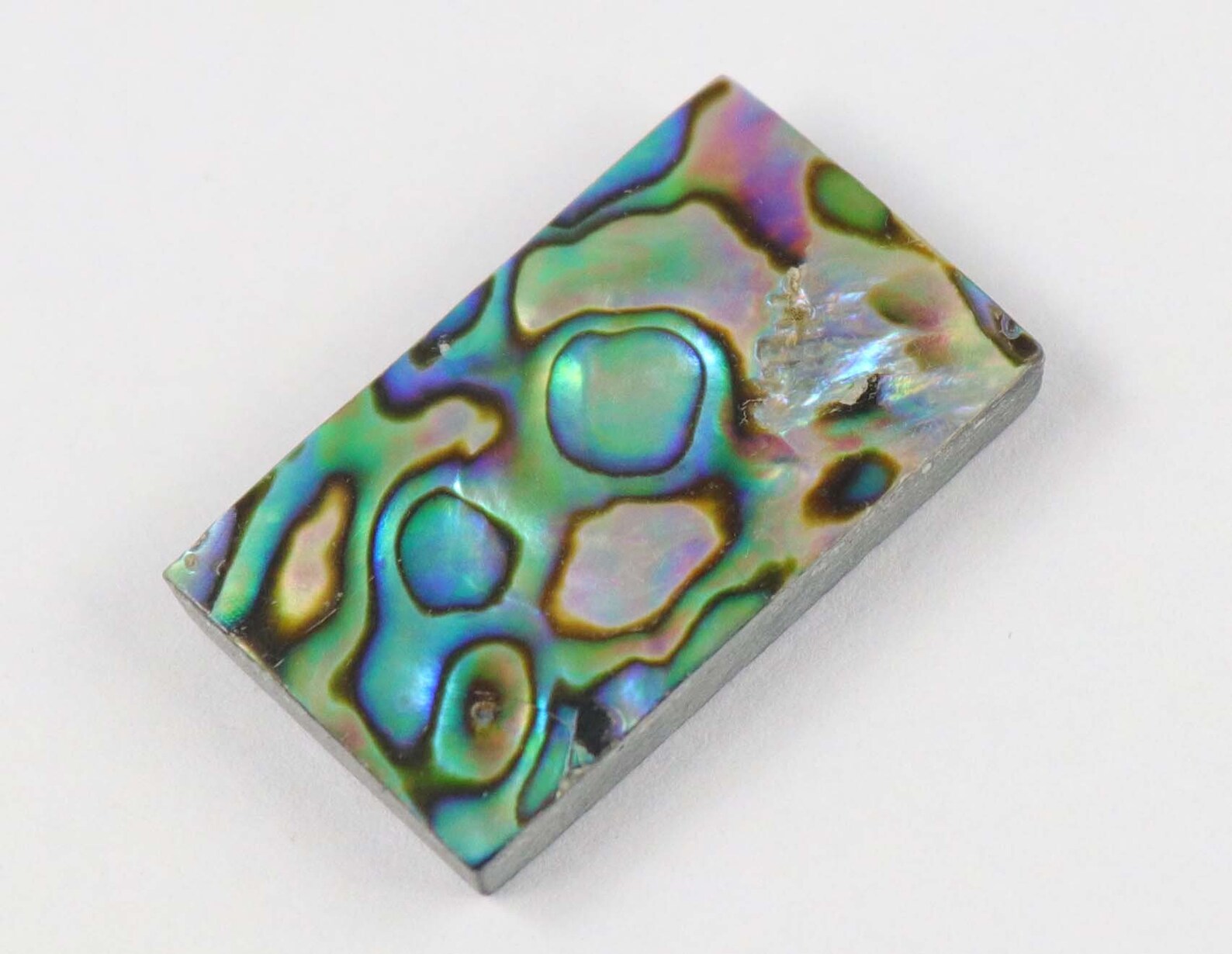 Abalone Shell Natural Gemstone Fancy Octagon Shape Flat | Etsy