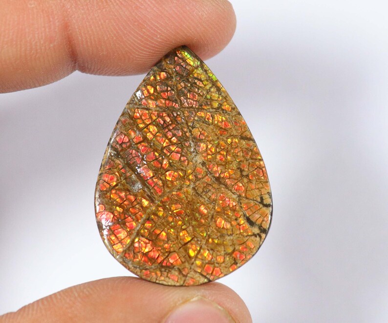 Natural Ammolite Gemstone Approx. 35X25 mm Pear Shape Polished | Etsy