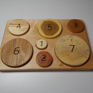 Wood Puzzle Circle Montessori Puzzle Toy for Babies and | Etsy
