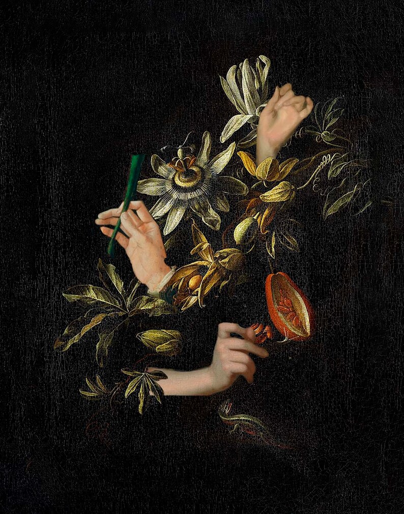 Dark Floral Still Life Art Print Botanical Print Surreal | Etsy