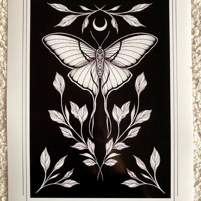 Luna Moth Art - Etsy