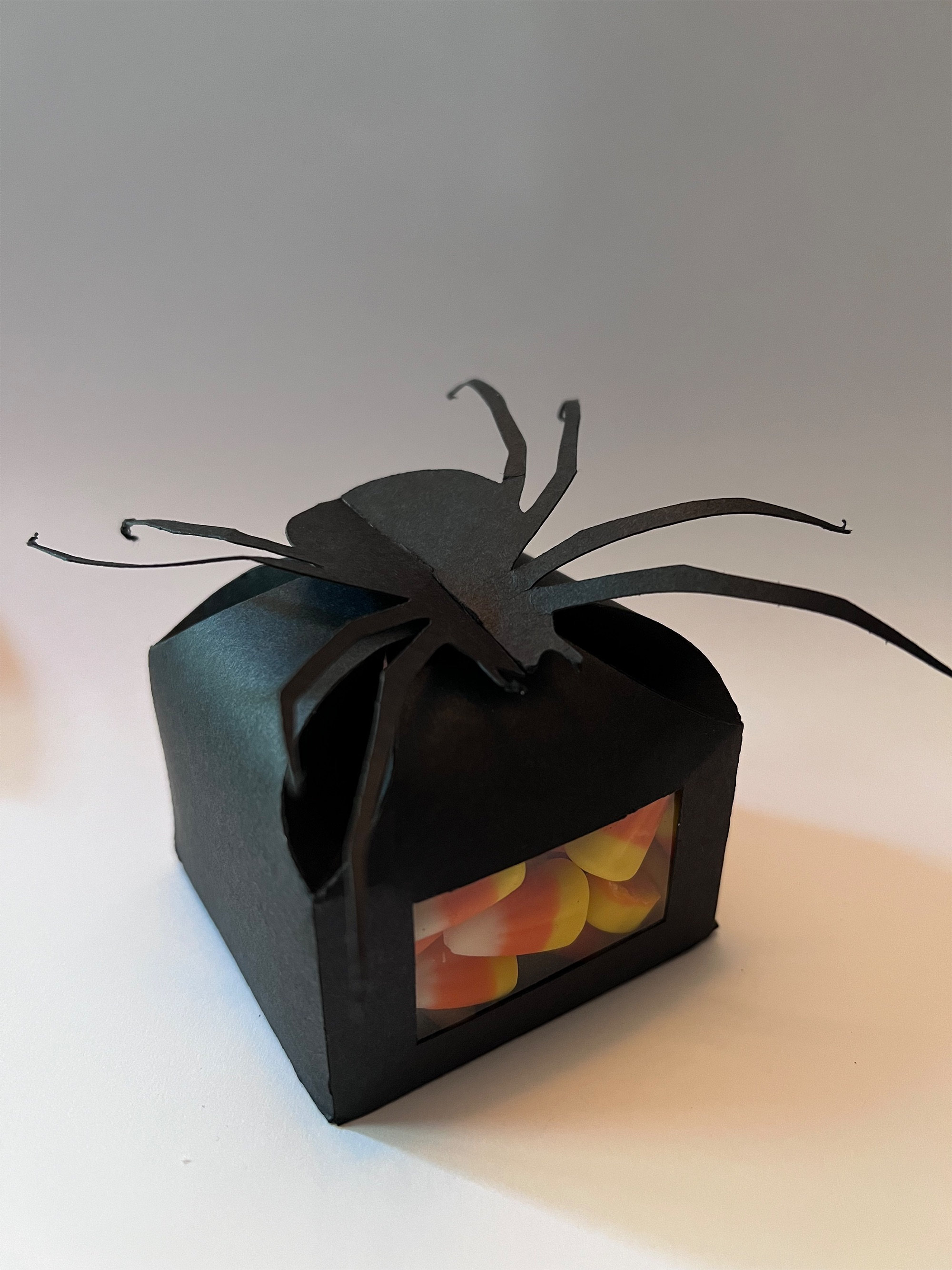 Halloween Spider Petal and Treat Box SVG Template for Silhouette ...