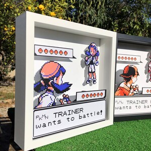 Pokemon Girls Shadowbox With Pokemon Girl Trainers Gamer Gift for Her ...