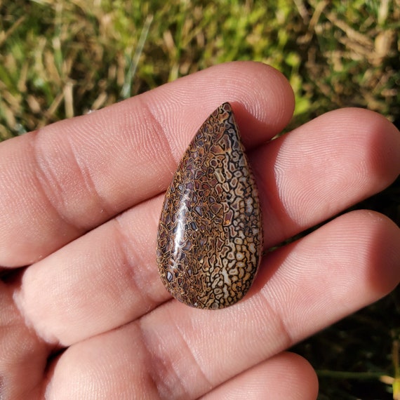 Designer Multi-color Dinosaur Gembone Cabochon - Etsy