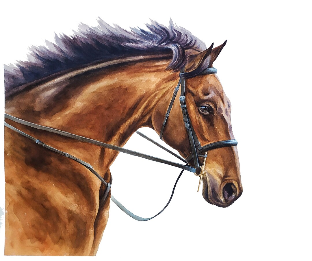 Horse Owner Gift Custom Painted Horse Portrait From Photo Horse Trainer ...