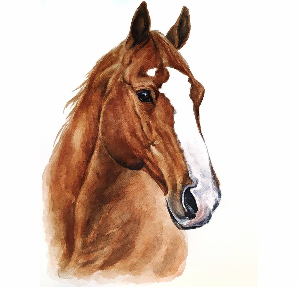 Custom Horse Portrait From Photo Horse Trainer Gift Equine Portrait ...
