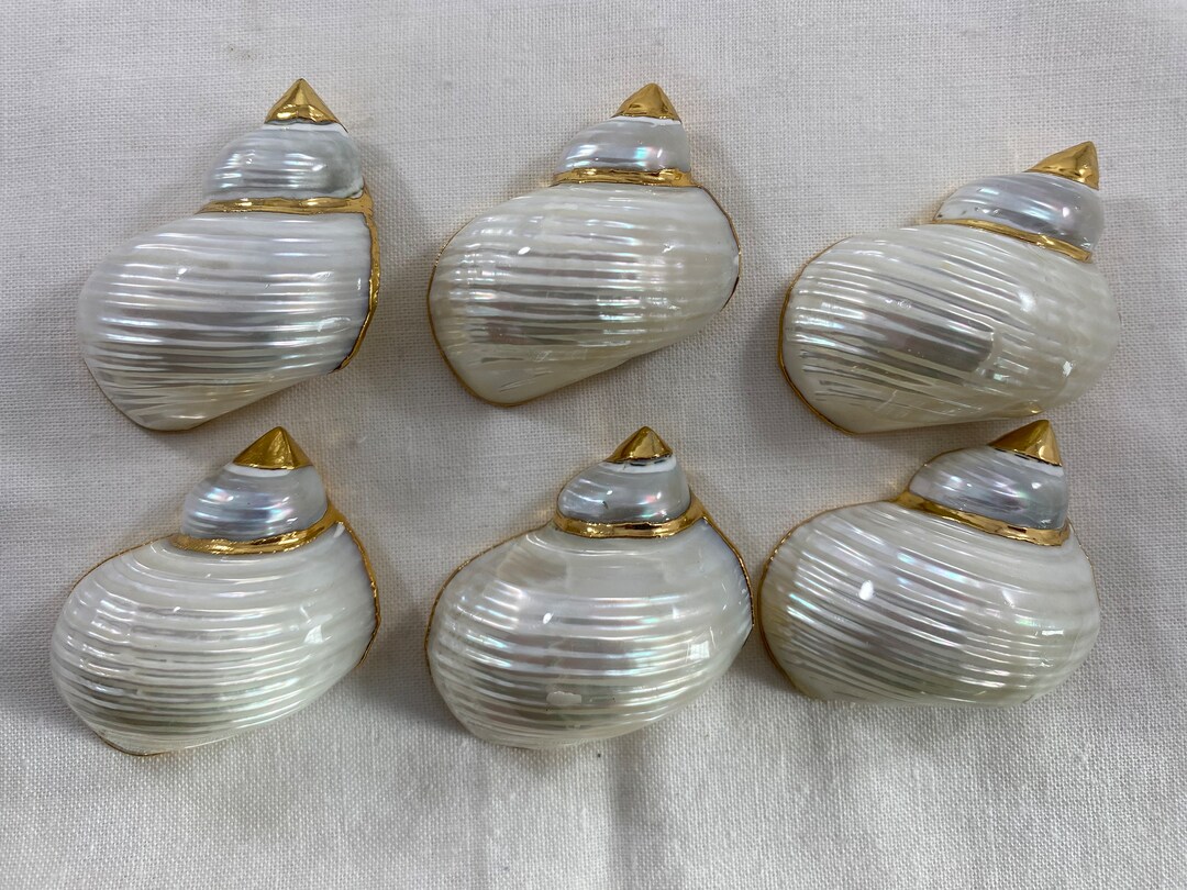 Mother of Pearl Snail Shell Individual Salt Cellars - Etsy