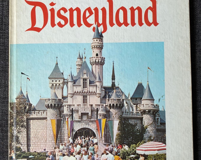 Disneyland Book - Etsy