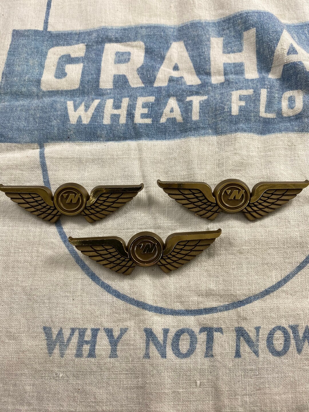 Northwest Airlines Junior Pilot Plastic Pin Lot of 3 - Etsy