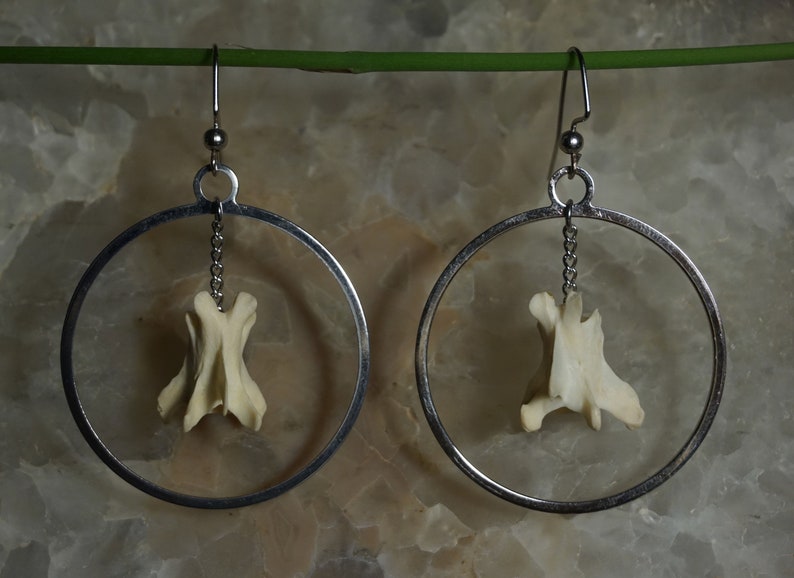Circular Hanging Vertebrae Bone Earrings - Etsy