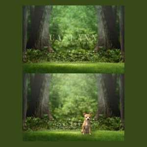 Placement Into Digital Background Listed in This Store Compositing ...