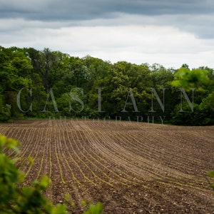 Overcast Farm Field Digital Photography Backdrop Background - Etsy