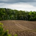 Overcast Farm Field Digital Photography Backdrop Background - Etsy