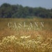 Warm Summer Field Digital Photography Backdrop Background JPEG File - Etsy