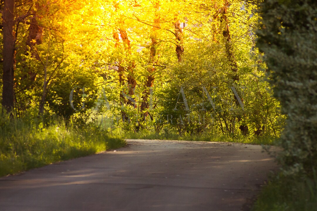 Fall Drive Digital Photography - Etsy