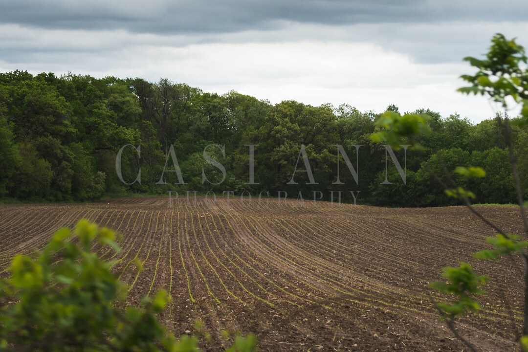 Overcast Farm Field Digital Photography Backdrop Background - Etsy