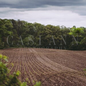 Overcast Farm Field Digital Photography Backdrop Background - Etsy