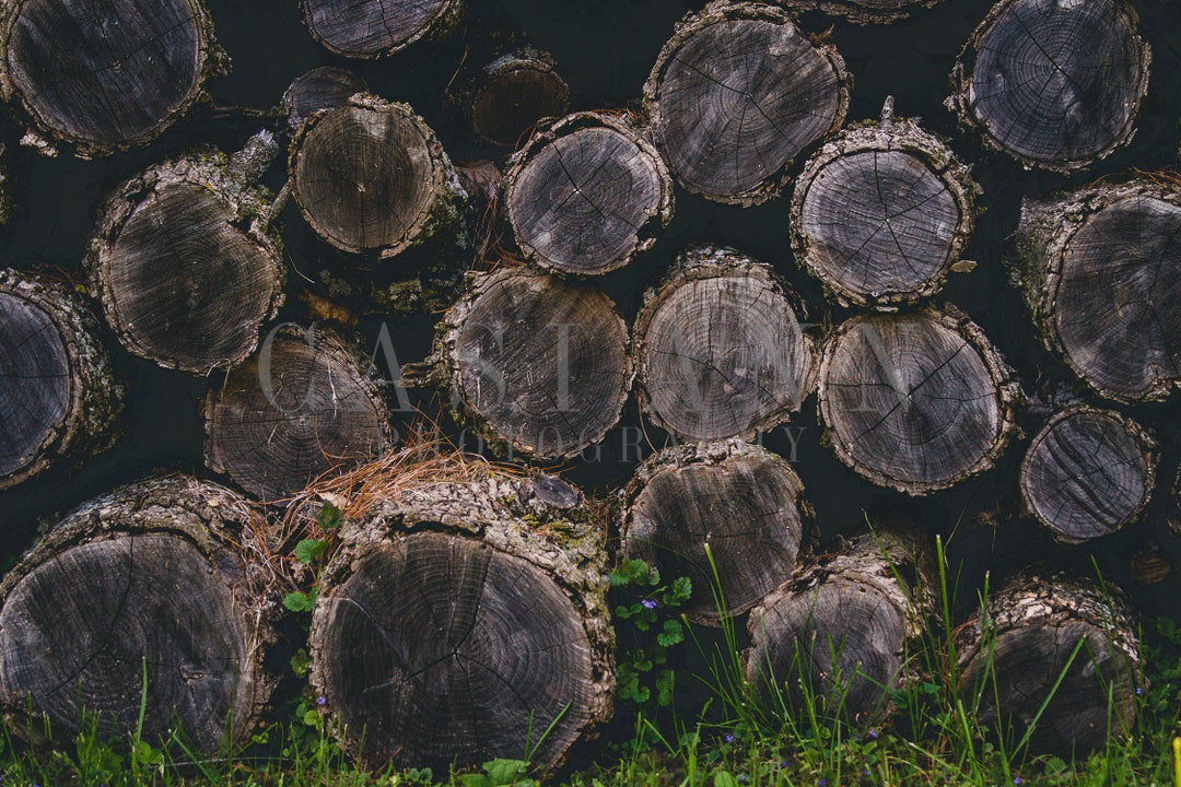 Rustic Logs Digital Photography Backdrop Background - Etsy