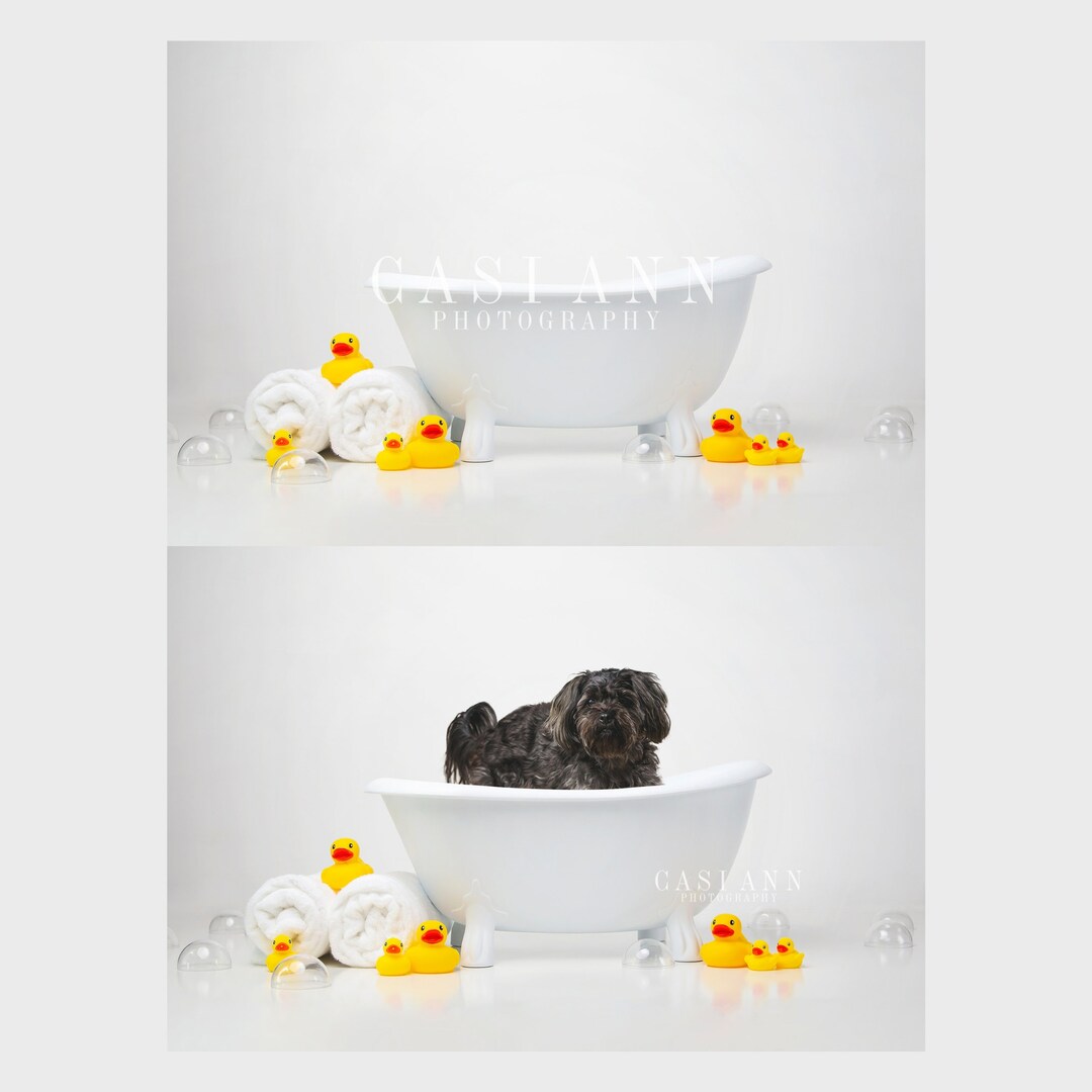 Classic Duck Bath Digital Photography Background Backdrop - Towels ...