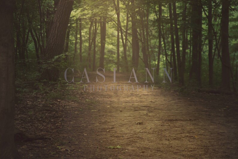 Woodsy Trail Digital Photography Backdrop Background Spring | Etsy