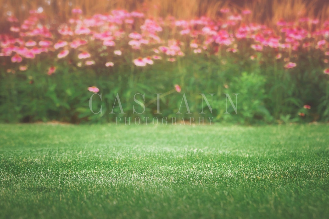 Pink and Gold Garden Digital Photography Backdrop Background JPEG ...
