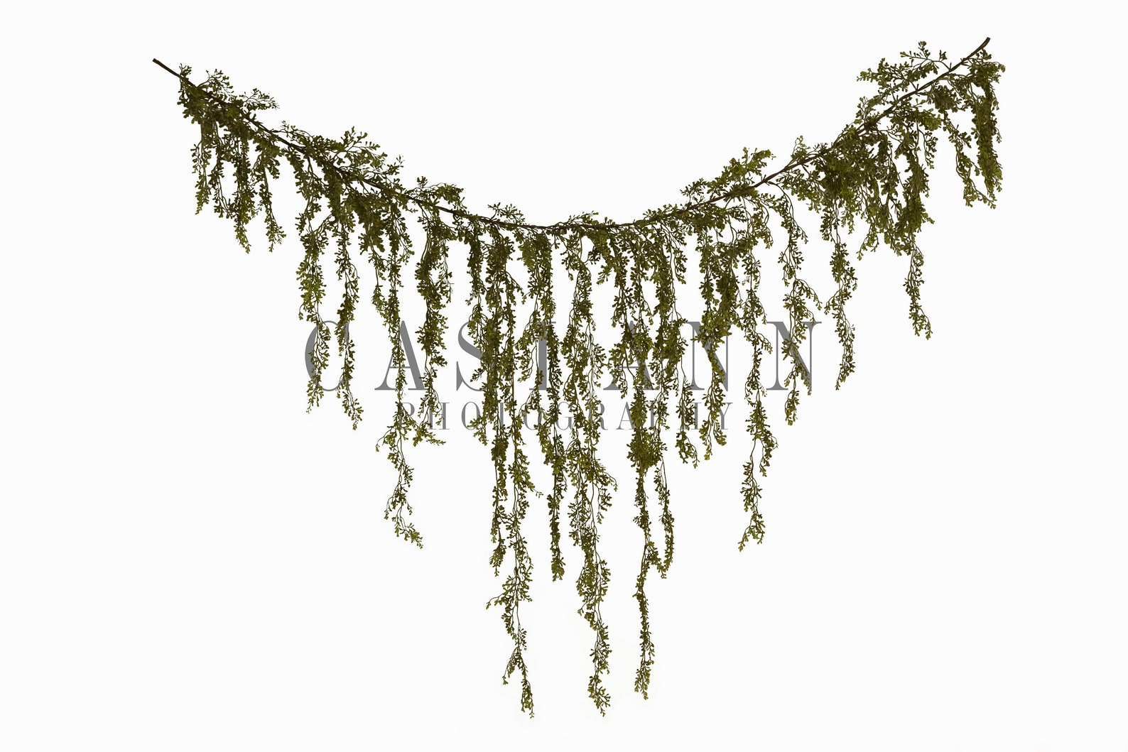 Digital Green Draping Jasmine Garland Overlay Leaves PNG - Etsy