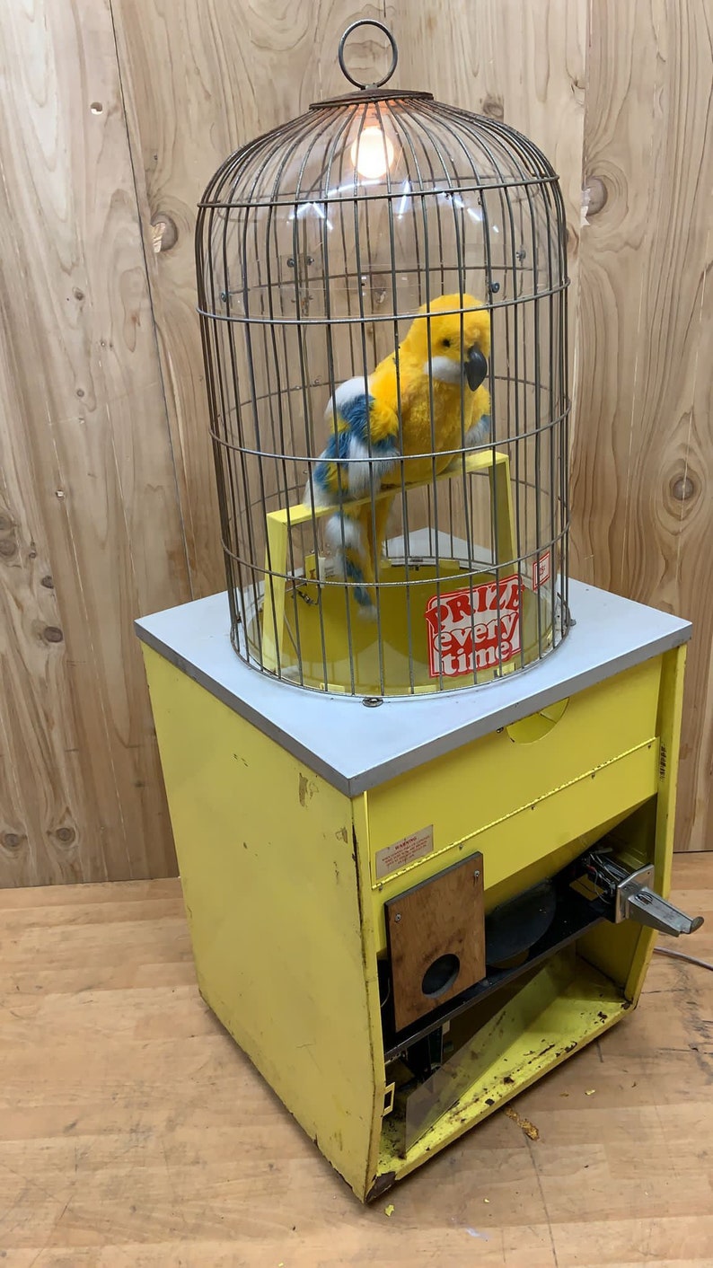 Vintage Talking Parrot Arcade Game - Etsy