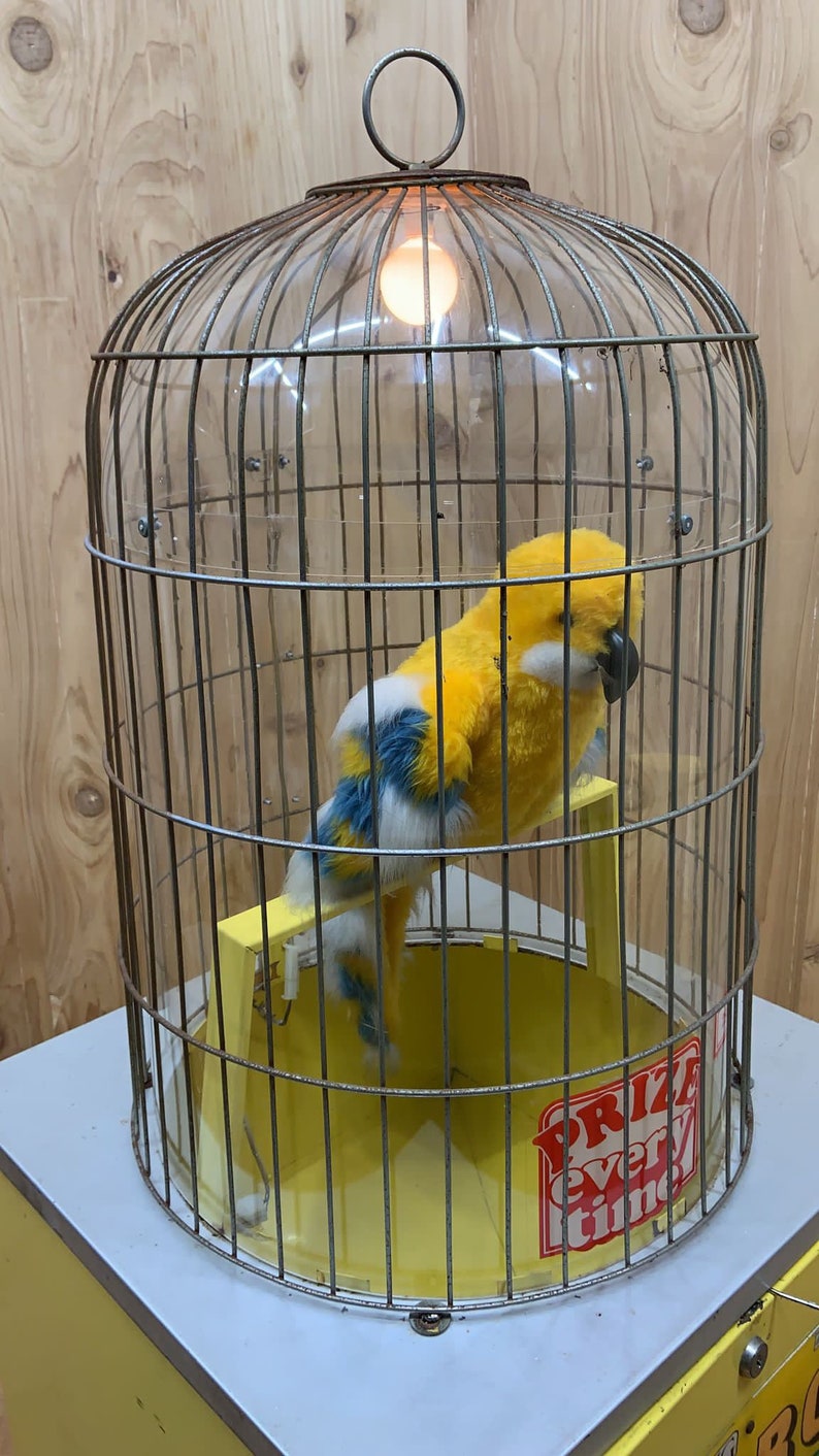 Vintage Talking Parrot Arcade Game - Etsy