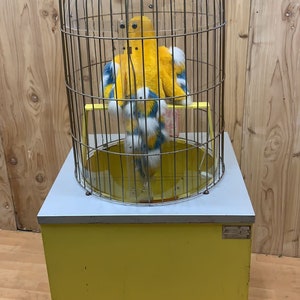 Vintage Talking Parrot Arcade Game - Etsy