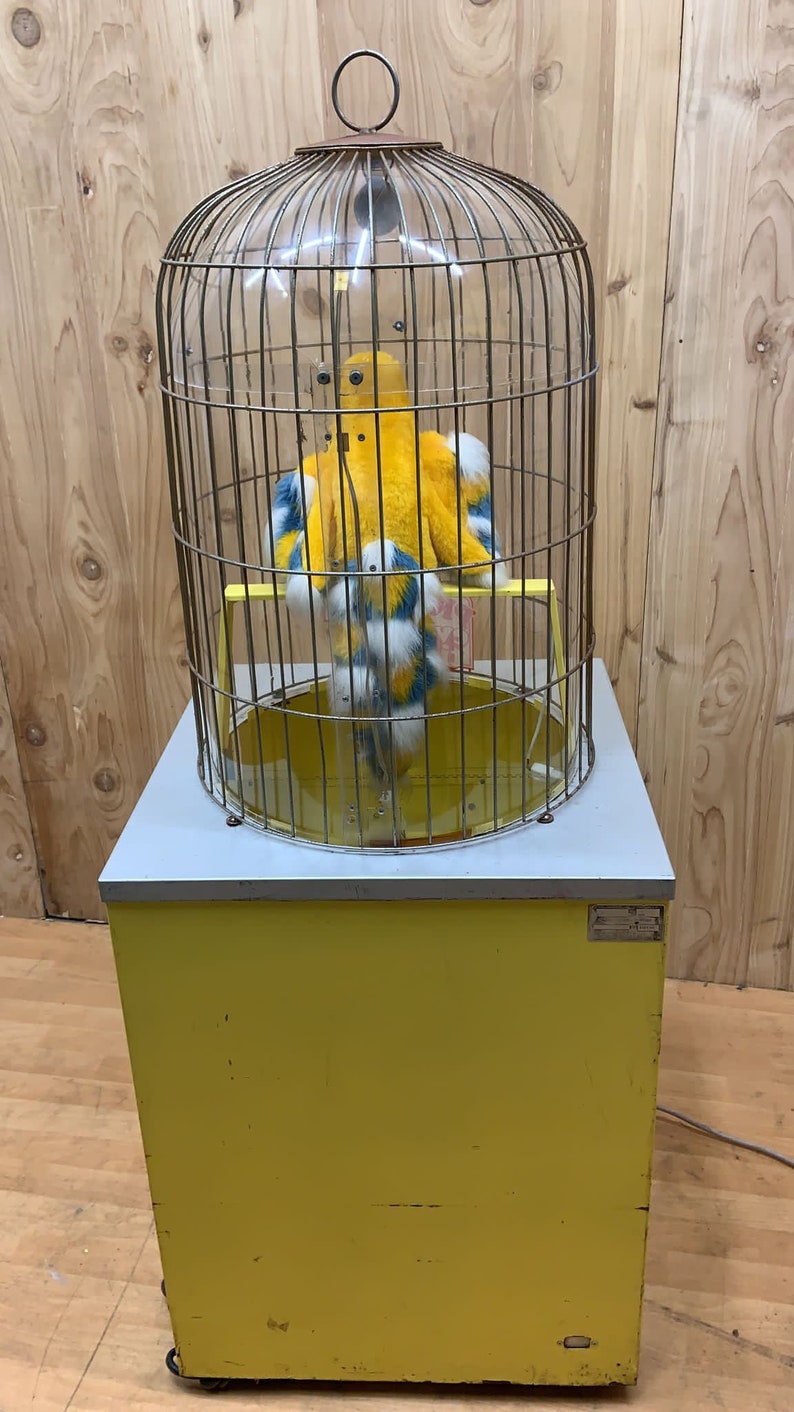 Vintage Talking Parrot Arcade Game - Etsy