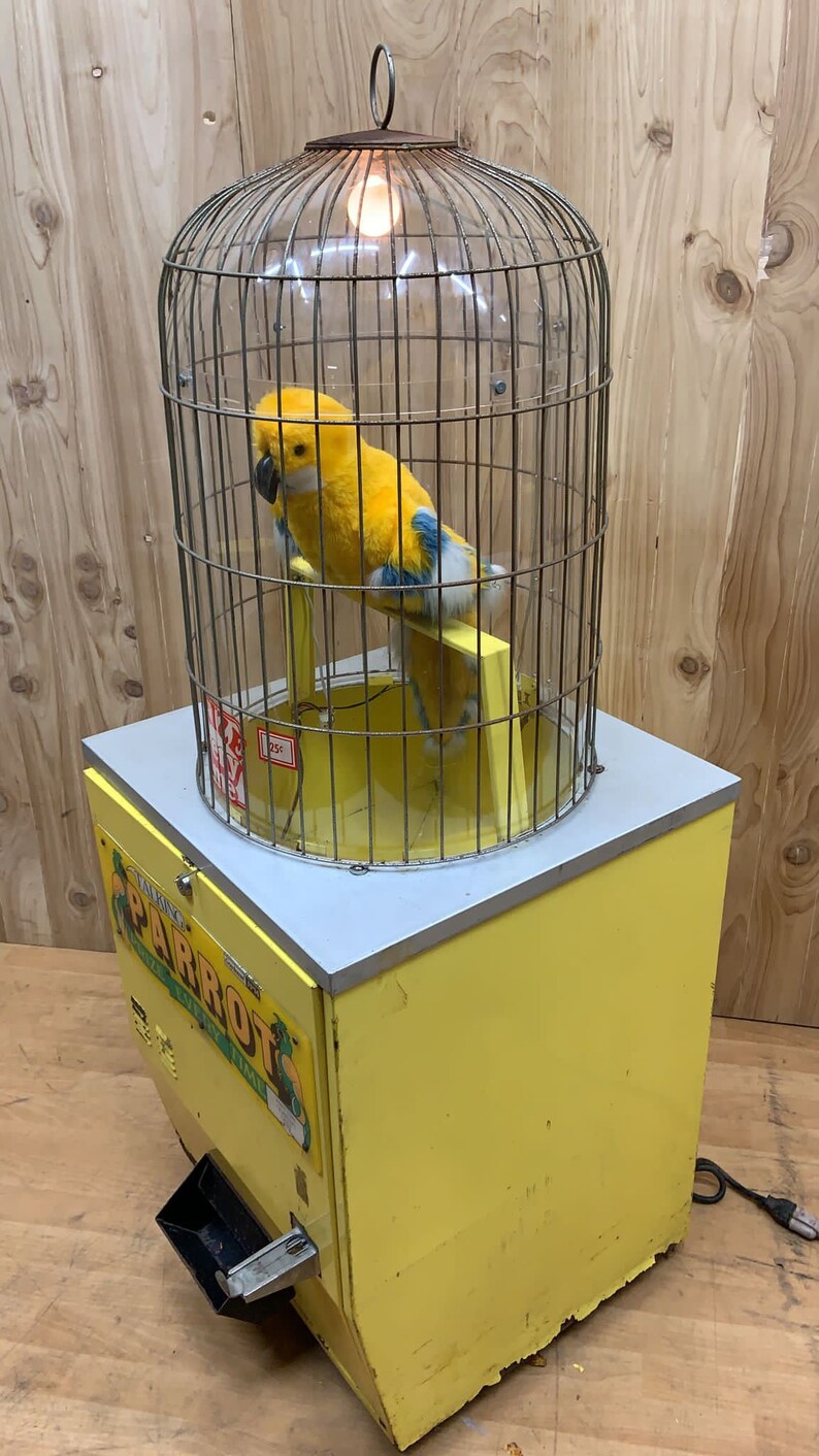 Vintage Talking Parrot Arcade Game - Etsy