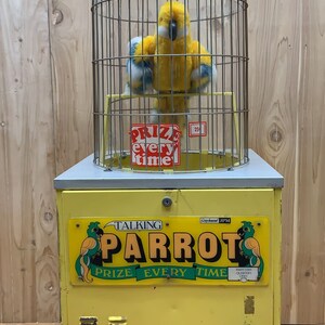 Vintage Gray Hound Talking Parrot Prize Every Time Vending Machine - Etsy