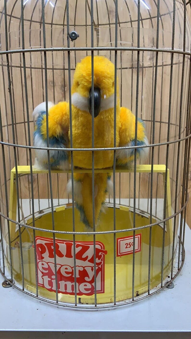 Vintage Talking Parrot Arcade Game - Etsy