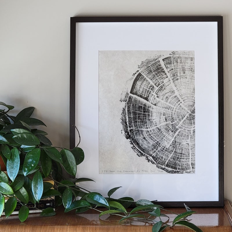 Tree Ring Print - Etsy