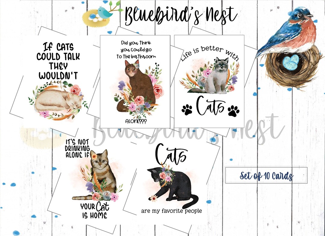 Cat Quips Set of 10 Cards / 5 Designs - Etsy