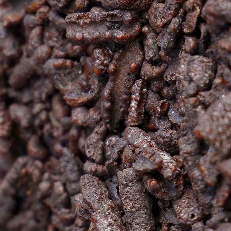 Lac Natural Dye Kit for 0.45lb Fabric Black Navy Color - Etsy