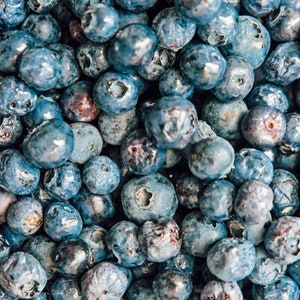 Blueberry Natural Dye Kit for 0.45lb Fabric, Steel Blue Color, Natural ...