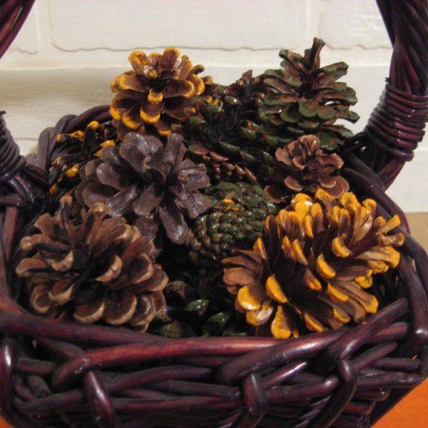 Painted Pine Cones - Etsy