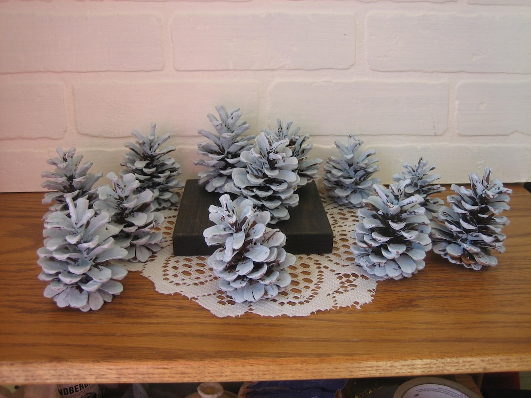 12 Blue Trim Pine Cones, Baked & Critter Free, Michigan Grown, Hand ...