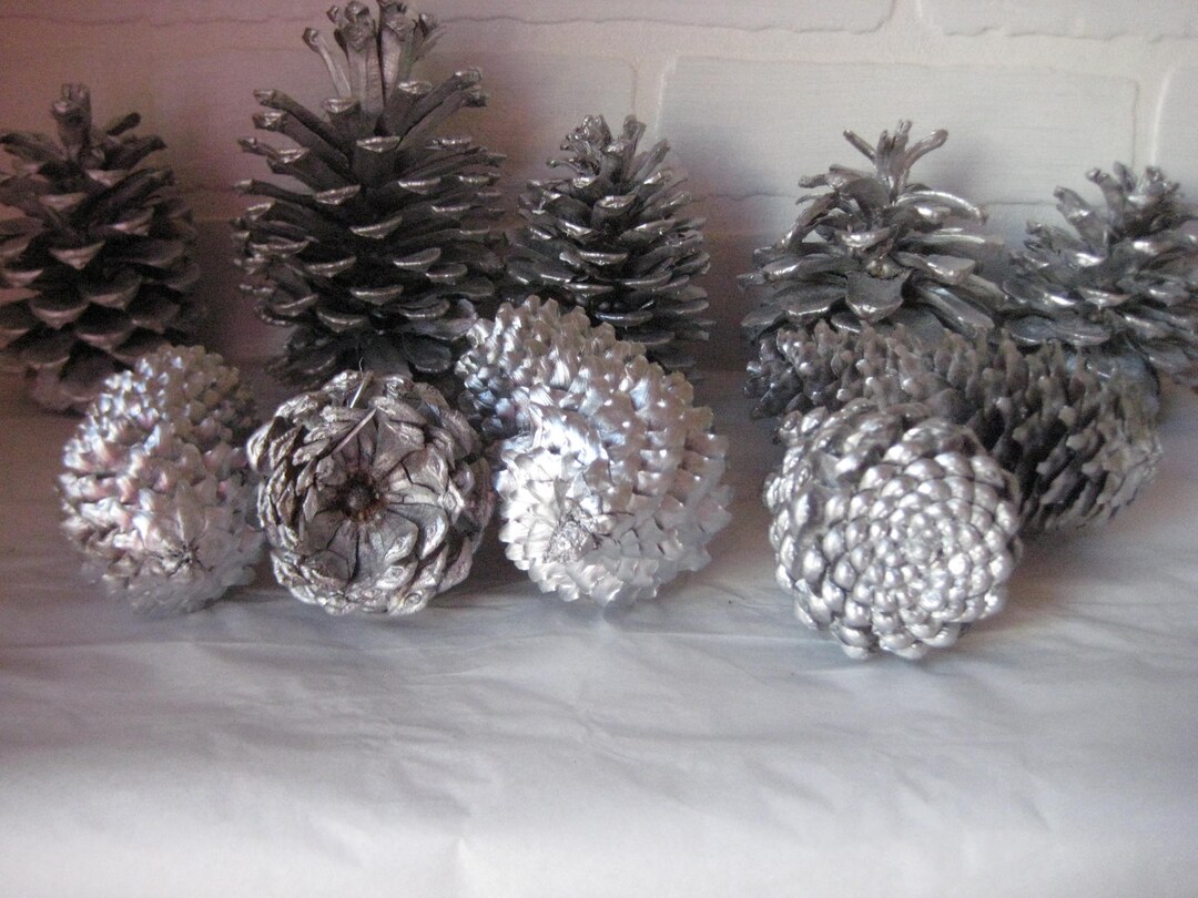 10 Silver Pine Cones Hand Painted Assorted Sugar & Bristle - Etsy