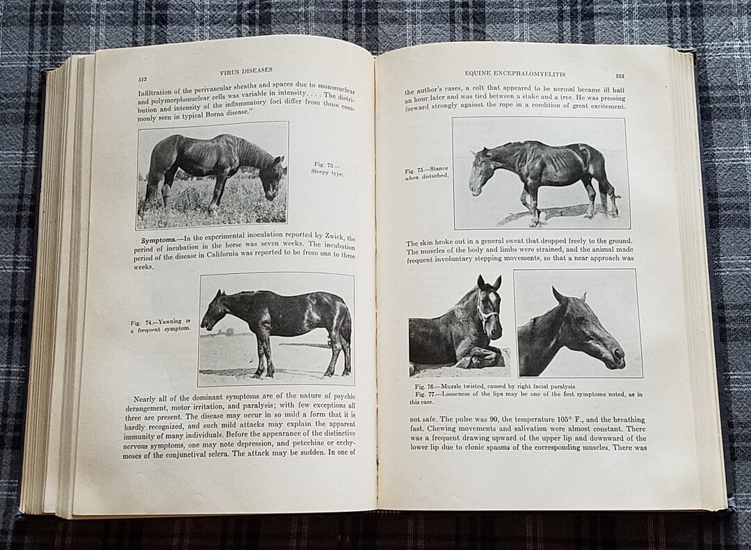 Vintage 1940's Veterinary Medicine Homestead Veterinary Livestock and ...