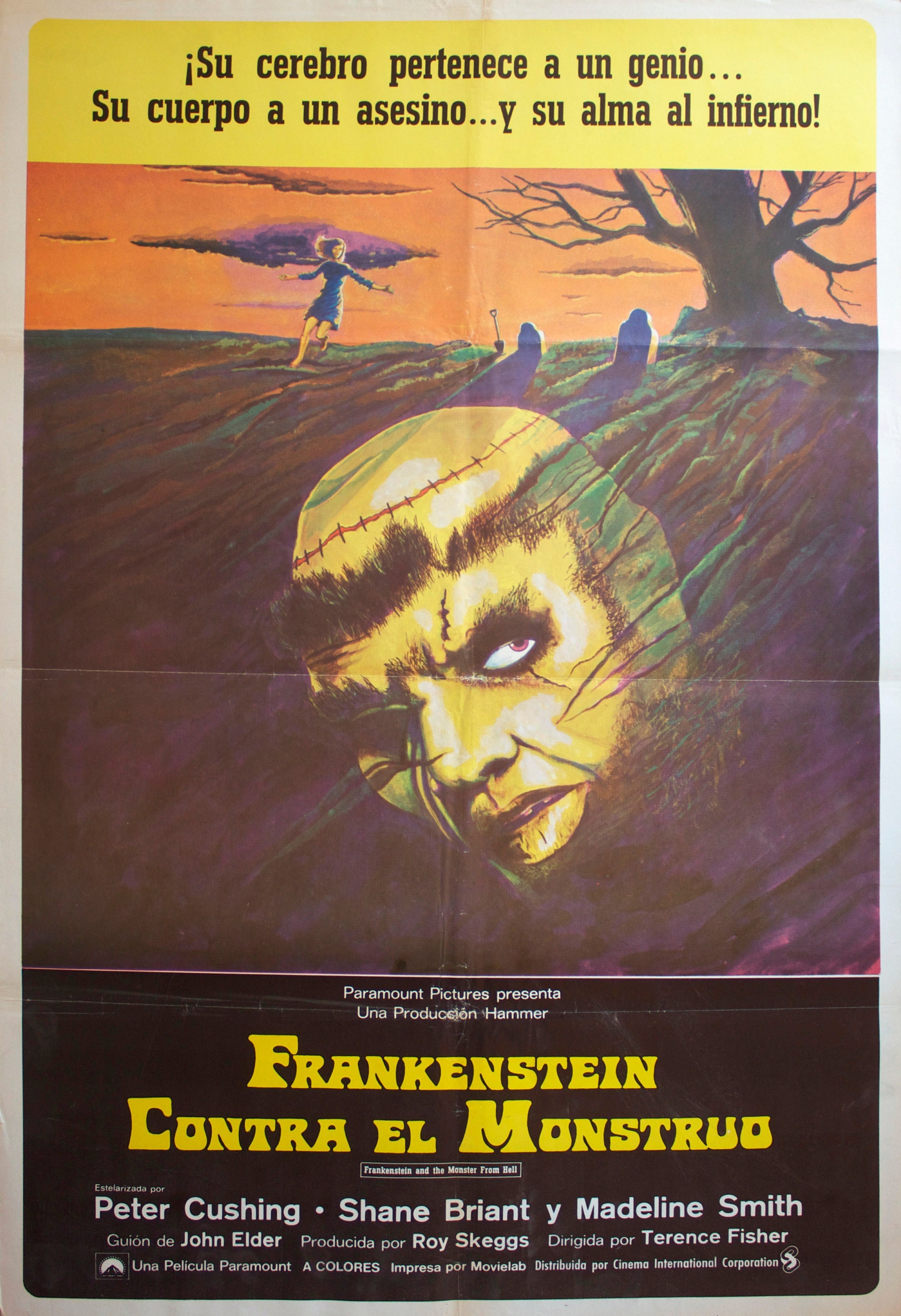 Frankenstein And The Monster From Hell