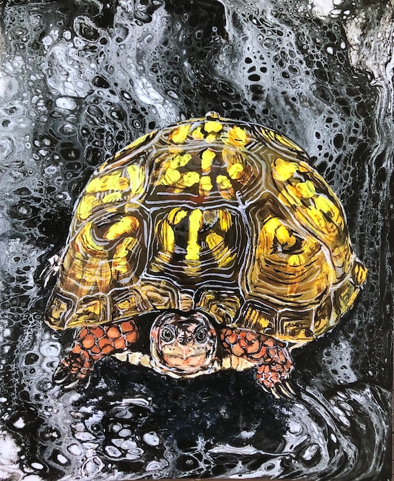 Eastern Box Turtle Giclee Art Print 8 X 10 - Etsy