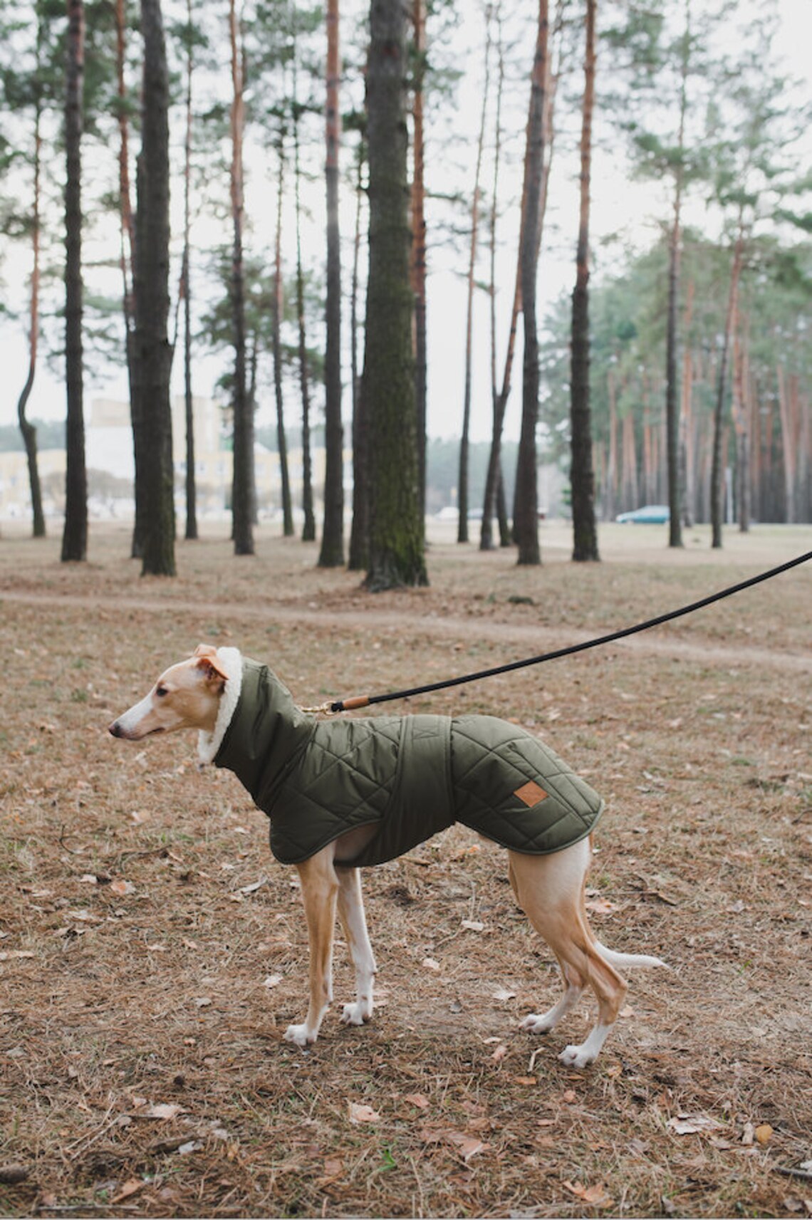 Dog Coat Khaki Dog Jacket Winter clothes for dogs Woolen | Etsy