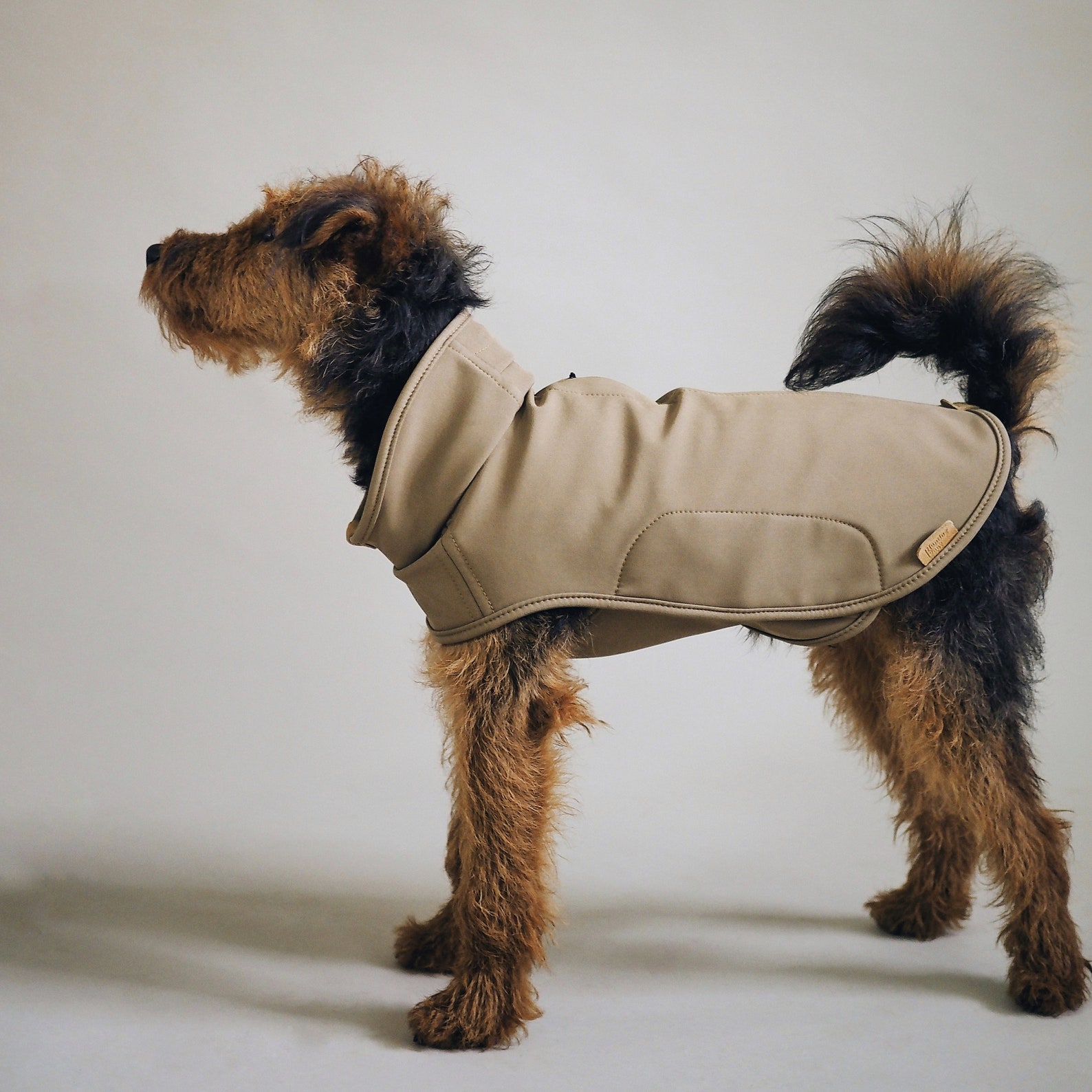 Pony-Popony Jacket for dogs Hunting Pony Jacket beige grey | Etsy