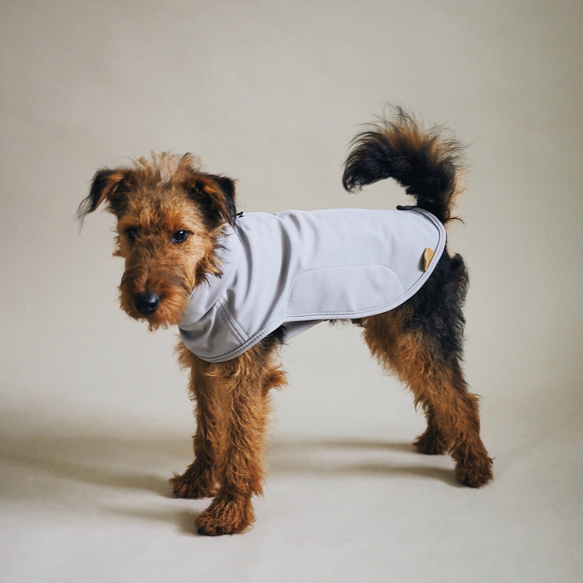 Pony-Popony Jacket for dogs Hunting Pony Jacket beige grey | Etsy