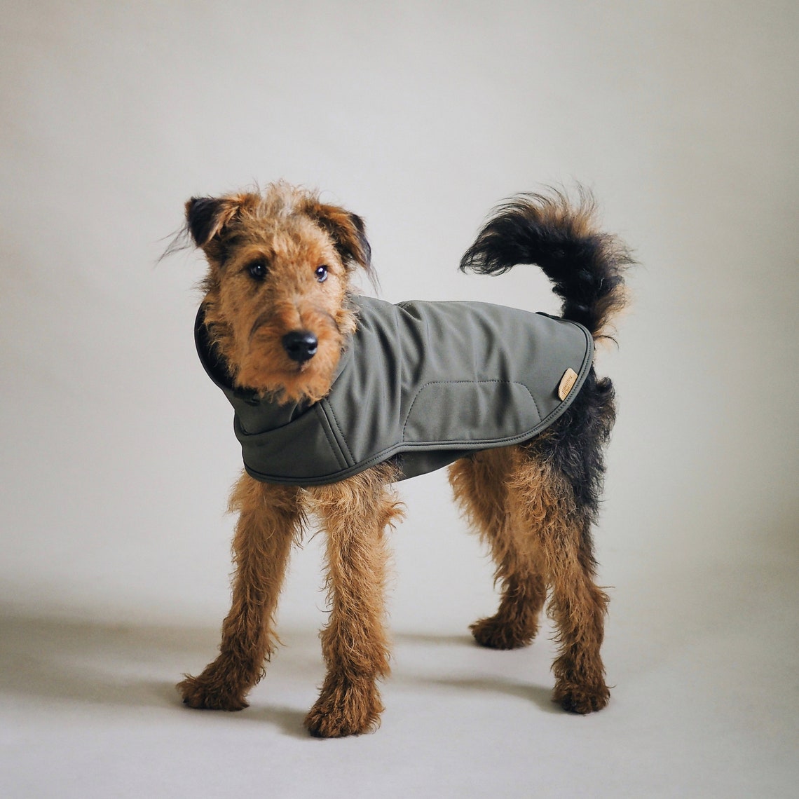 Pony-Popony Jacket for dogs Hunting Pony Jacket beige grey | Etsy