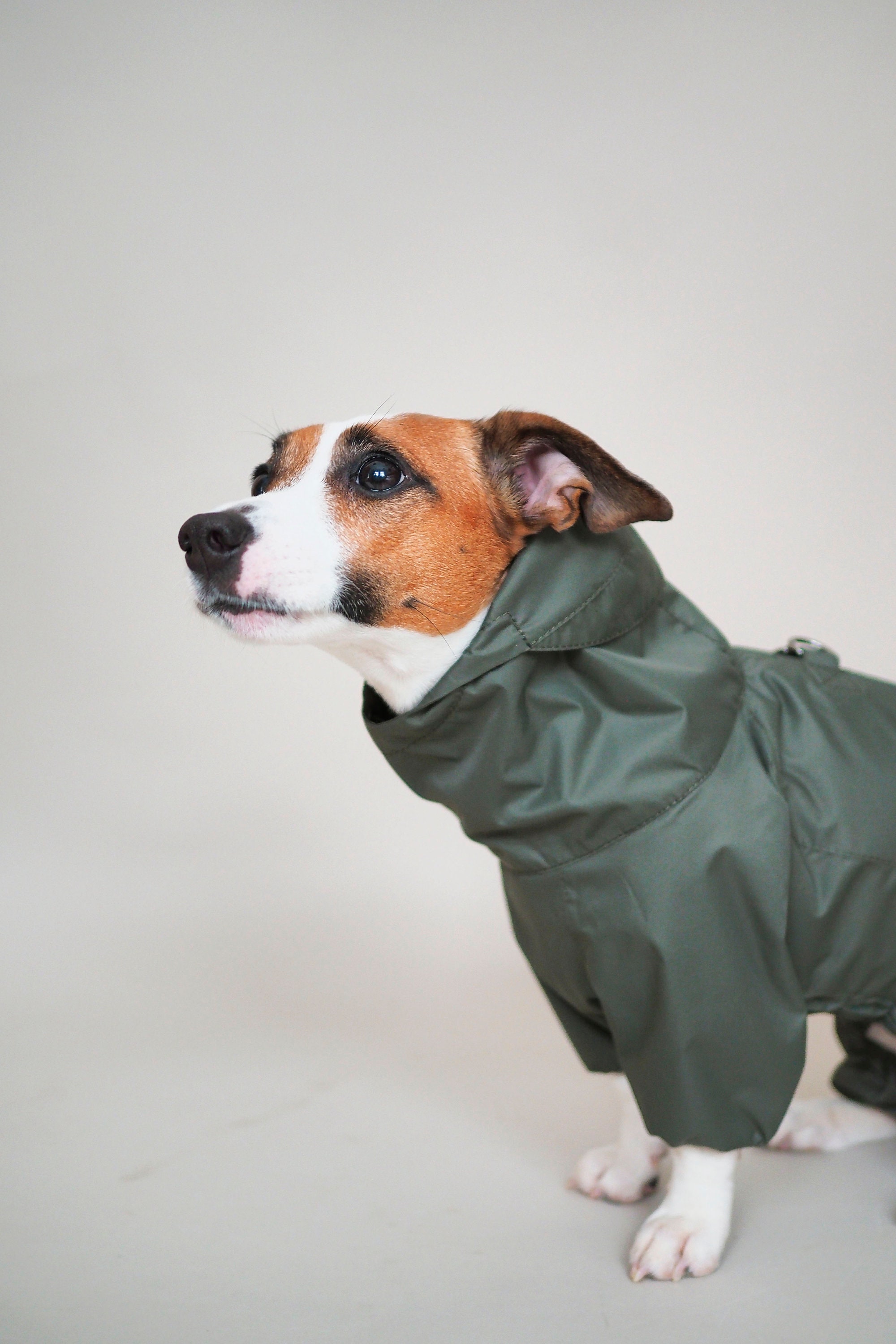 Dog Jumpsuit Khaki Dog Jacket Dog Fall Spring Winter | Etsy