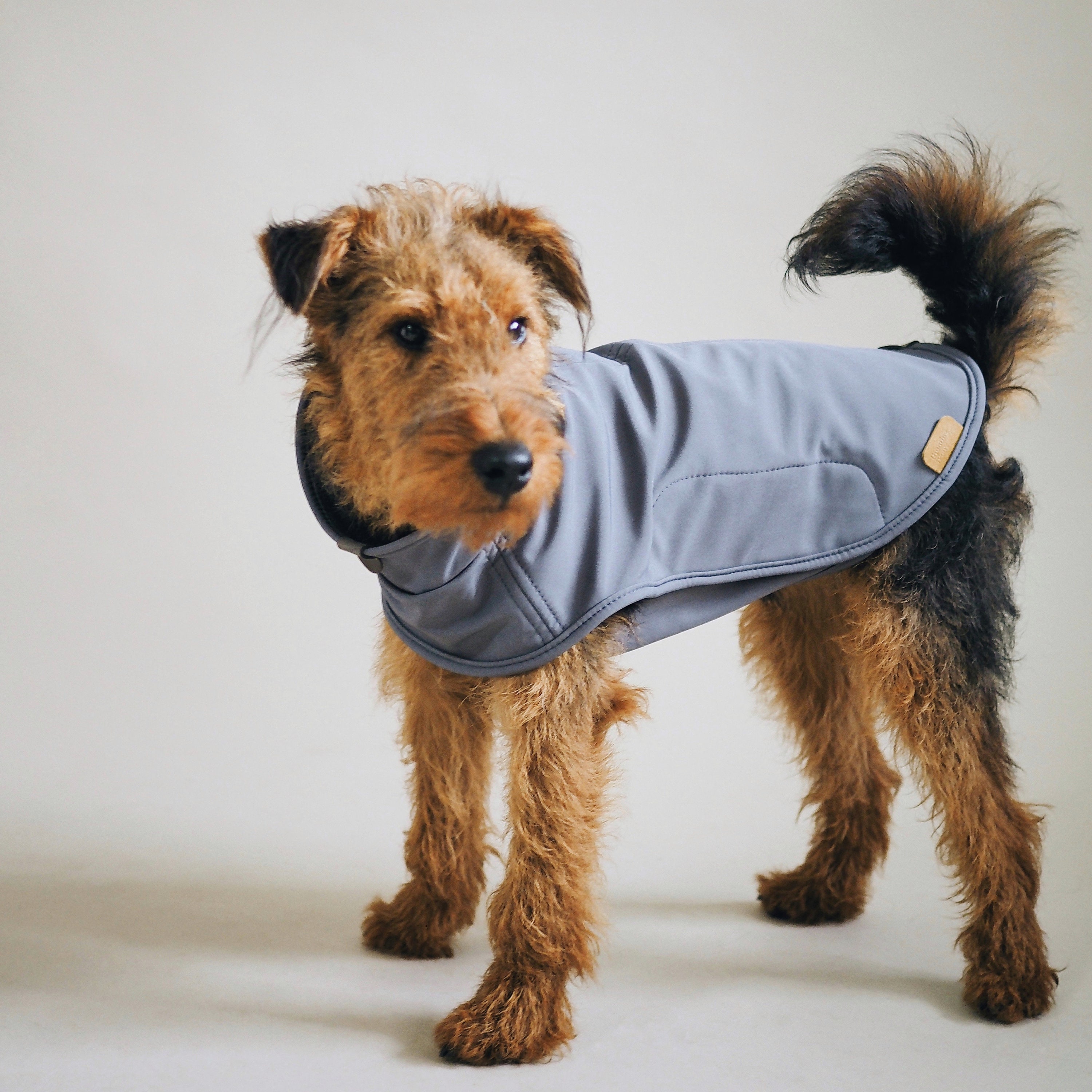 Pony-Popony Jacket for dogs Hunting Pony Jacket beige grey | Etsy